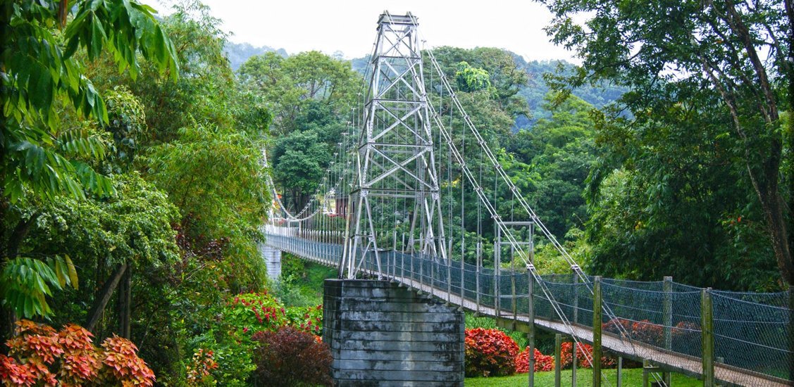 Peradeniya Garden | Botanical | Kandy | Beat Tour Company | Sri Lanka